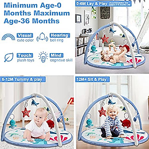 Baby Play Mat, Velvety Fabric Baby Play Gym Activity Center, Infant Play Mat W/ 6 Sensory 3D Toys + 1 Crescent Pillow for Tummy Time, Shower Gift Playmats for Baby and Toddler, 14 Oz Extra Padded Mat