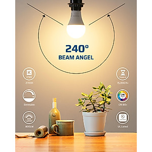DEWENWILS 4-Pack Dimmable LED A19 Light Bulb, 800 Super Bright, 2700K Soft Warm Light Bulb, 10W (60 Watt Equivalent) LED Bulb, E26 Medium Screw Base, UL Listed