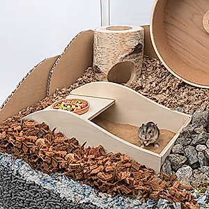 Niteangel Hamster Sand Bath Dust Free Box - Wooden Critter's Shower & Digging Sand Bathtub for Small Animals Like Hamsters Mice Lemming or Gerbils (Medium-11.8-inch L x 7.8-inch W)