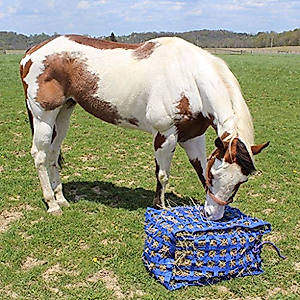Derby Originals Natural Grazer Patented Four Sided Slow Feed Horse Hay Bale Bag with Exclusive Super Tough Bottom, Hunter Green (71-7133-HGR)