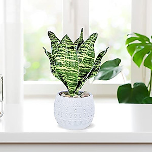 Winlyn Set of 3 Small Artificial Potted Plants - Eucalyptus, Rosemary & Tropical Snake Plant in White Geometric Pots for Table Centerpieces Shelf Windowsill Desk Indoor Outdoor Greenery Decor