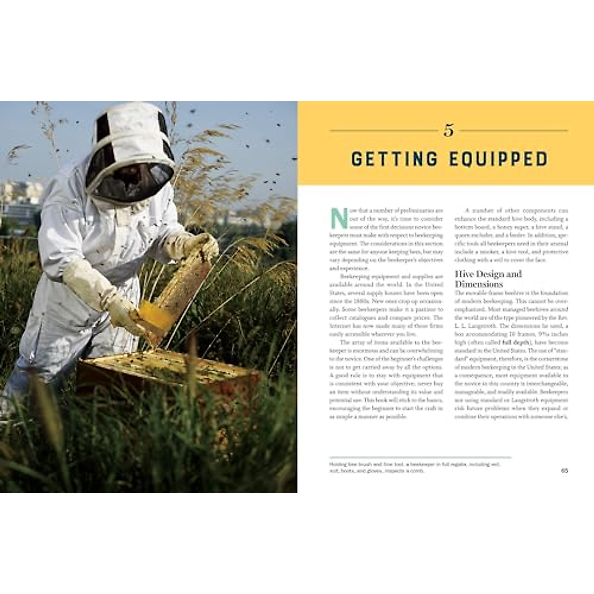 Storey's Guide to Keeping Honey Bees, 2nd Edition: Honey Production, Pollination, Health (Storey’s Guide to Raising)