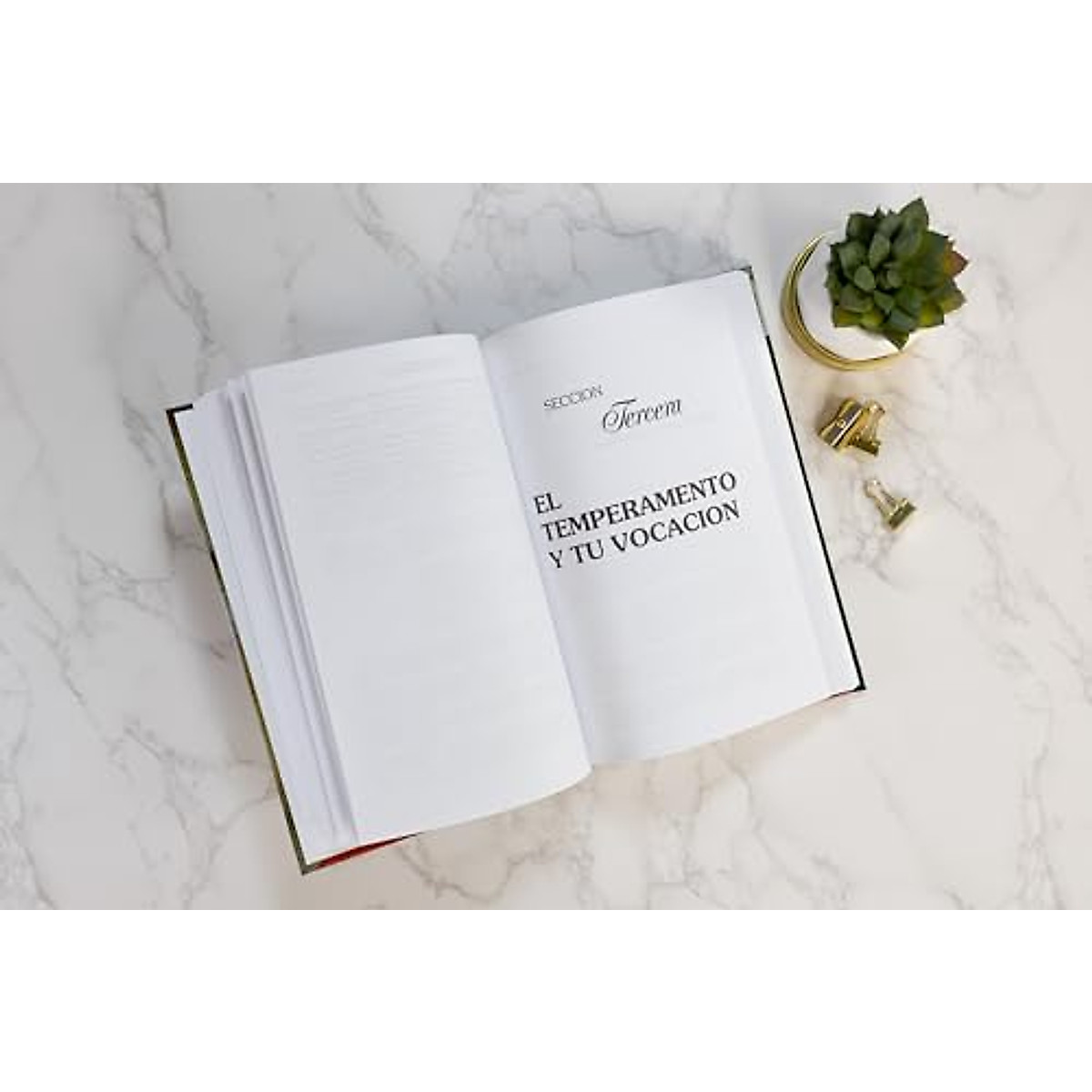 Manual del temperamento/ Your Temperament Discover Potential (Spanish Edition)