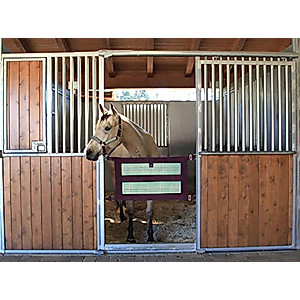 Kensington Stall Guard for Horses - Aisle Guard to Secure Horses - Made of Textilene - w/Adjustable Strap and Complete Hardware - 34 1/2 inches x 12 (Imperial Jade)