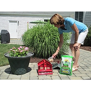 Wagner's 62042 Songbird Supreme Blend Wild Bird Food, 8-Pound Bag