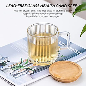 Leadiy Transparent Glass Coffee Mug with Lid, Clear Glass Coffee Cups, Classical Vertical Stripes Coffee Mugs for Latte Juice Tea 12.5 Ounces
