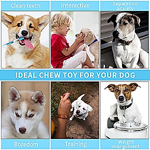 cobee Puppy Teething Chew Toys, 3 Packs Small Dog Puppy Toy Ring 360° Clean Pet Teeth and Soothe Itching Rubber Dog Chew Toy Oral Health Puppy Interactive Chew Toys