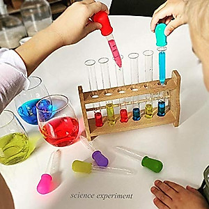 CHIUTUUY 11 Pcs Eye Droppers for Kids - 5ml Silicone Plastic Pipettes Liquid Transfer Dropper for Crafts Science Water Play Candy Gummy Molds