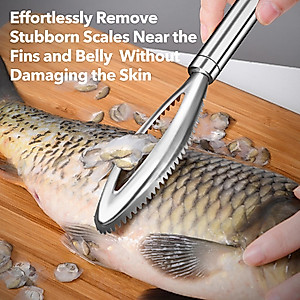 Haikole fish scaler Stainless Steel Fish Scaler Remover,Portable 304 Stainless Steel Fish Scaler Remover,Sawtooth Fish Descaler Tool for Seafood Markets,Family Kitchen seafood tools (Stainless Steel)