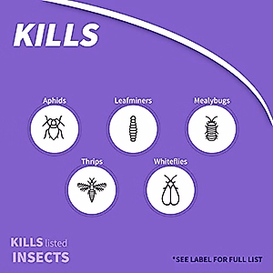 Bonide Rose Shield Systemic Rose & Flower Drench, 40 oz Ready-to-Use Long Lasting Disease & Insect Protection