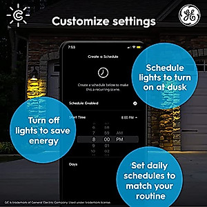 GE CYNC Smart LED Light Bulbs, Color Changing Lights, Bluetooth and Wi-Fi Lights,Compatible with Alexa and Google Home, PAR38 Outdoor Floodlight Bulbs (4 Pack)