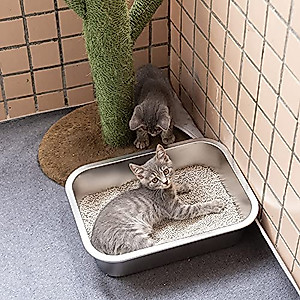 Yangbaga Stainless Steel Litter Box for Kittens, 4 in Height Easy Entry, Odor Control, Non Stick, Easy to Clean,Litter Box for Rabbits, Ferrets,Guinea Pigs and Hamsters (16'' x 12'' x 4'')
