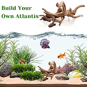 Tfwadmx Natural Driftwood for Aquarium, Reptile Branches Terrarium Wood Aquarium Trunk Driftwood Tree Fish Tank Log Decoration 2 Pcs