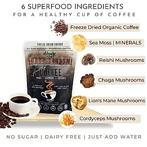 Elderwise Organics Coffee with Mushrooms & Sea Moss - Lion's Mane, Chaga, Reishi & Cordyceps - 24 Servings - Healthy Coffee - Freeze Dried Instant - Chemical free - Fair Trade