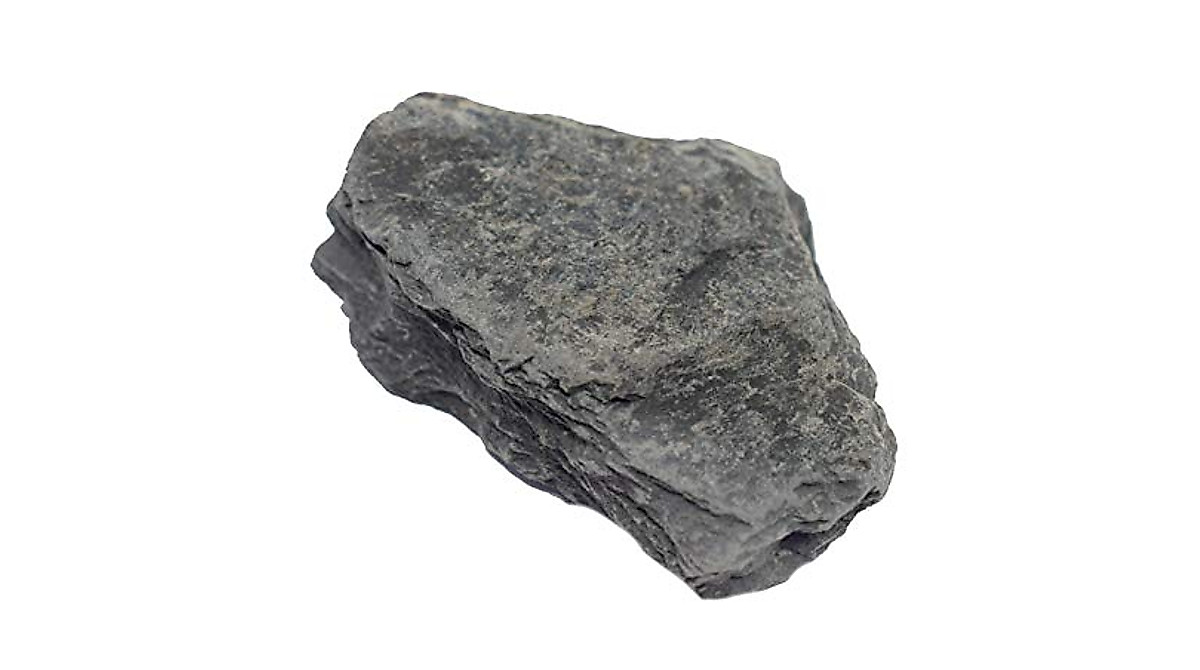 6PK Raw Carbonaceous Shale - Sedimentary Rock Specimens for Education