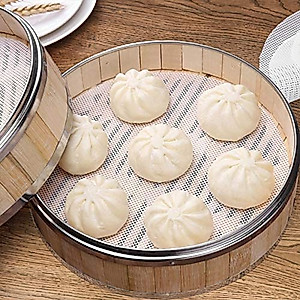 Coitak 12 inch 5PCS Non stick Silicone Steamer Liners, Mesh Mat Pad Steamed Buns Dumplings Baking Pastry Dim Sum Mesh