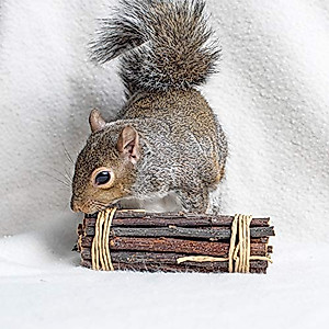 Apple Sticks (20 Pack) - Healthy Natural Apple Wood Branch Chew Treat - Guinea Pigs, Hamsters, Rabbits, Degus, Prairie Dogs, Chinchillas, Squirrels, Opossums, Rats, Hamsters, Gerbils & Small Pets