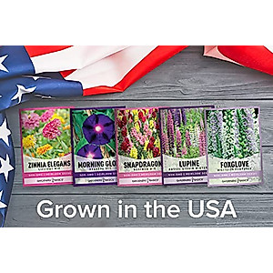 Hummingbird Seeds for Planting Outdoors Flower Seeds (5 Variety Pack) Zinnia, Foxglove, Lupine, Morning Glory, Snapdragons Varieties for Bees, Pollinators Wildflower Seed by Gardeners Basics