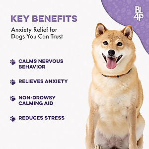 Pet Relax Dog Calming Anxiety Relief - Long-Lasting Dog Relaxants for Stress Relief, Natural Solution for Separation Anxiety, Travel, Thunderstorms, and Fireworks - 400 Odorless, Tasteless Pills
