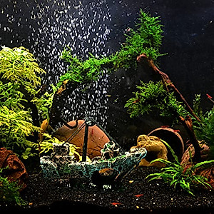 Raeasily Fish Tank Decoration - Aquarium Accessories,Shipwreck Decor,Resin Material Sunken Ship Decorations for Fish Favors, Multi, 10 * 10