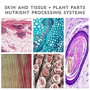 NATIONAL GEOGRAPHIC Kids Microscope Science Kit - Dual LED Microscope for Kids, Ultra Bright 20x & 50x Magnification, 35 Microscope Slides, Most Complete Microscope Kit for Kids 8-12, Biology for Kids