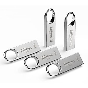USB Flash Drive, Bilious Portable Keychain Design Thumb Drives, Metal Style Memory Stick U Disk, Waterproof Jump Pen Drive for Storage and Backup (64GB, 5 Pack)