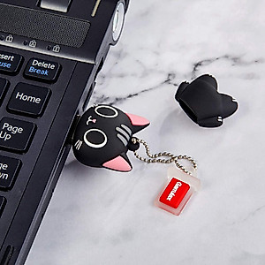 GARRULAX USB Flash Drive, 8GB / 16GB / 32GB / 64GB USB2.0 Cute Shape USB Memory Stick Date Storage Pendrive Thumb Drives Gift(32GB,Big Eye Cat)