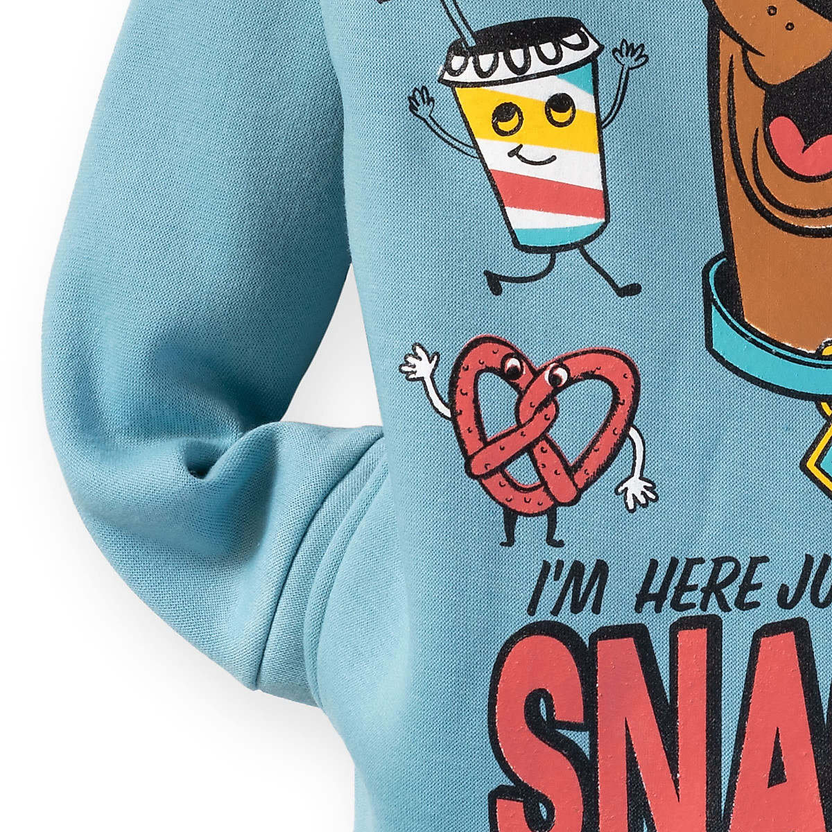 Scooby-Doo Little Boys Fleece Jogger Pullover Hoodie & Pants Set Blue/Grey 7-8