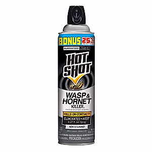 Hot Shot Wasp & Hornet Killer Spray, Eliminates The Nest, Sprays Up Tp 27 Feet, 17.5 fl Ounce