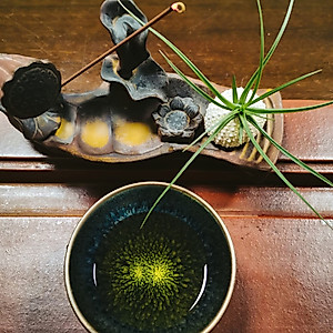 5 Pack Mini Sea Urchin Shell Hanging Pot-Air Plant Holder Hanging Decorative Cute Tillandsia Succulent Display Container with Rustic Ropes for Home Garden Beach Theme Party Wall Indoor Outdoor Decors