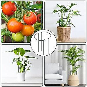 12 Pack Plant Support Stakes, Peony Cages and Supports Large 10" Wide x 24" High Tall Peony Ring Supports, Garden Plant Stakes for Outdoor Plants Rose, Tomato, Hydrangea, Flowers