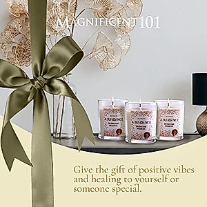 Magnificent 101 Abundance Set of 3 Candles
