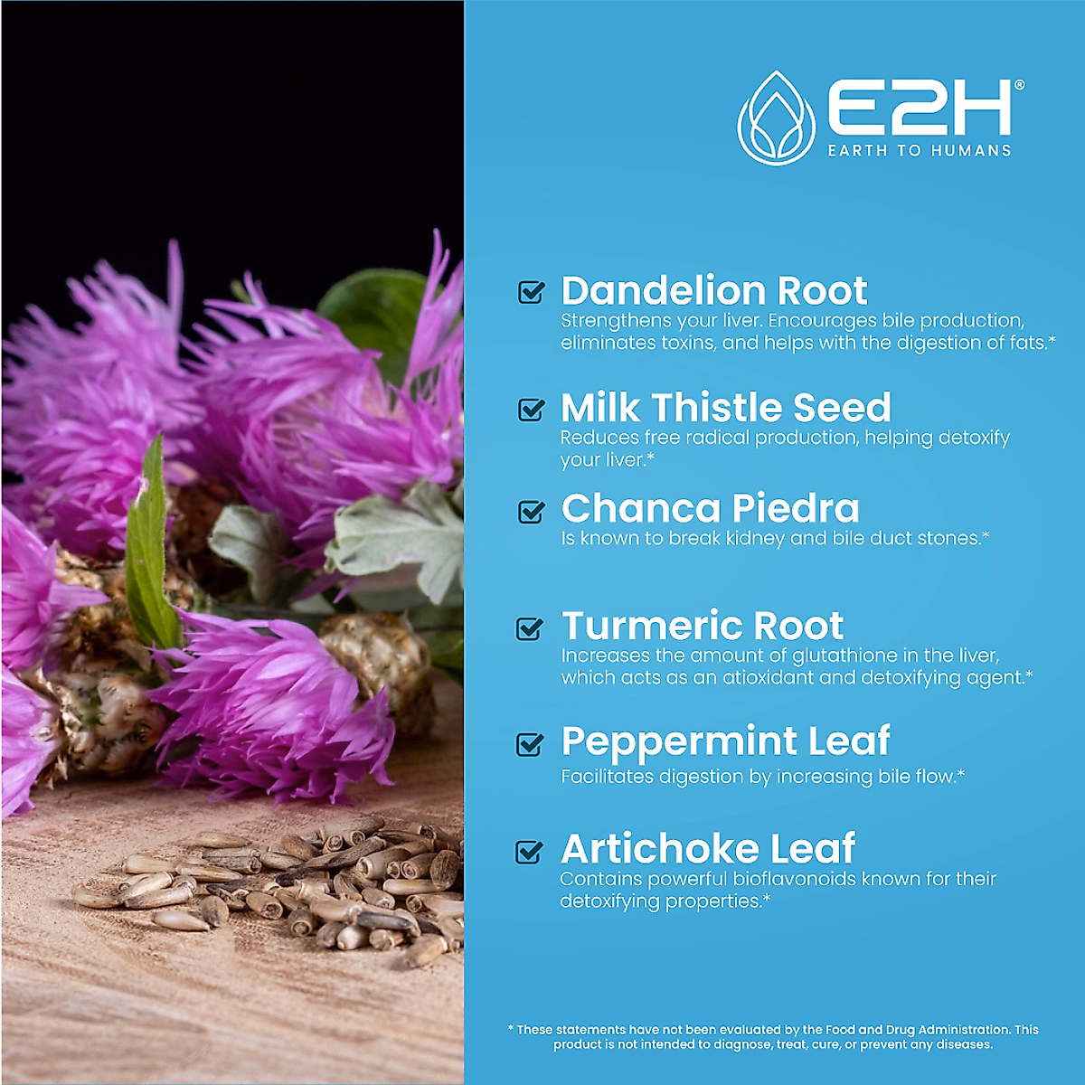 Milk Thistle Extract for Liver Cleanse Detox & Repair - Herbal Liver Support Supplement with Artichoke Extract, Dandelion Root, Chanca Piedra, and More - 2 Fl Oz by E2H