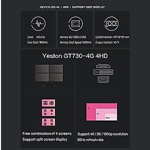Yeston GT730 4GB 4HDMI Gaming Graphics Cards ,128 bit DDR3 993/1600MHz 4-Screen Graphics Card Support Split Screen 10bit Color Depth HDR with 4 HDMI Ports
