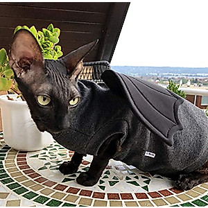 Kotomoda Cat's T-Shirt Dragon (S)