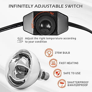 DUEBEL Food Heat Lamp 2 Pack Food Warmer Lamp with 4 Bulbs, Ideal Buffet Food Warmer, Catering Food Warmer, 110V Commercial Food Warmer