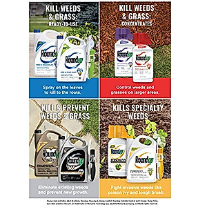 Roundup Concentrate Max Control 365 Vegetation Killer, 32 oz.