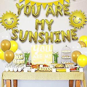 Sunshine Party Decorations Yellow Birthday Decorations Sun Party Decorations Sunshine Birthday Decorations You Are My Sunshine Party Decorations Banner Sunshine Baby Shower Decorations Sun Balloon
