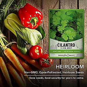 Cilantro Seeds for Planting Heirloom Non-GMO Herb Coriander Plant Seeds for Home Herb Garden Vegetables Makes a Great Gift for Gardening by Gardeners Basics