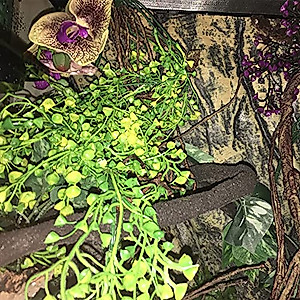 MUYG Reptile Hanging Plants,Bearded Dragon Plastic Flexible Fake Vines Plant Leaves with Suction Cup Lizards Terrarium Habitat Decorations for Geckos Turtles Snake Frog Chameleon(2 Pcs)