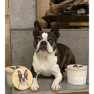 Sand + Paws Scented Candle - Sage & Sea Salt - Additional Scents and Sizes –Luxurious Air Freshening Jar Candles Neutralize pet Odors and Enhance Home décor – 100% Cotton Lead-Free Wicks - 12 oz