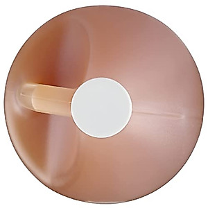 Bragg Organic Apple Cider Vinegar With the Mother– USDA Certified Organic – Raw, Unfiltered All Natural Ingredients, 1 Gallon