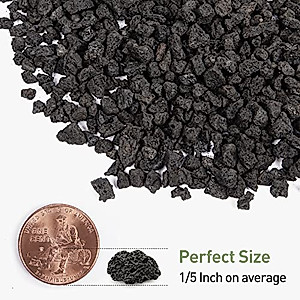 GASPRO 2.5lbs Lava Rocks for Plants, 1/5 Inch Black Gravel for Succulent, Cactus, Bonsai Tree, Pure Volcanic Rocks, Top-Dressing, Good Drainage