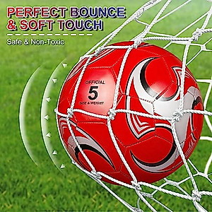 Libima 13 Pcs Soccer Ball Bulk 10 Pcs Official Size 5 Soccer Ball with High Capacity Carry Bag and 2 Pump Soccer Training Set for Youth Teens Adults Sport Gift (Red, Blue,Classic Style)