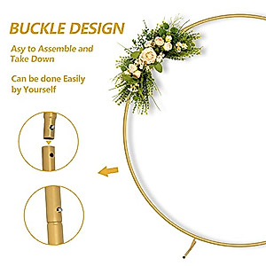 Esyun 6.56Ft Round Backdrop Stand, Metal Circle Wedding Arch Backdrop Stand Balloon Circle Arch Stand Suitable for Birthday Party, Wedding (2M)