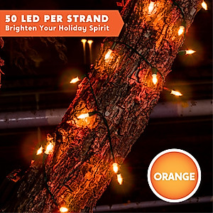 JOIEDOMI 100 (2x50) LED Halloween String Lights 32.6FT (2x16.3) Green Wire for Indoor Outdoor Holiday Décor Halloween Event Decoration, Tree, Eaves, Haunted House Theme Party (Orange)