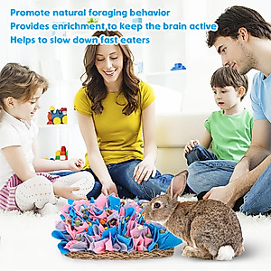 VCZONE 12" x 8" Rabbit Seagrass Snuffle Mat , Pure Hand-woven Felt Cloth Pet Foraging Mat, Enrichment Toy Bed Activity Mat for Rabbits, Bunny, Guinea Pigs, Ferrets, Chinchillas, Small Animals (12*8in)