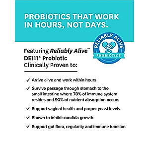 Zenwise No Bloat - Probiotics, Digestive Enzymes for Bloating and Gas Relief | Ginger, Dandelion, and Cinnamon to Improve Digestion - 60 Count