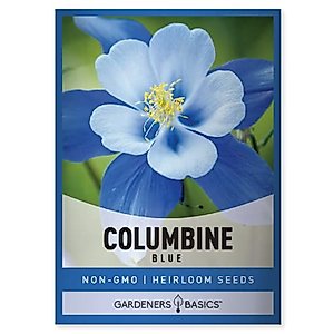 Blue Columbine Seeds for Planting (Aquilegia Seeds) - Beautiful Blue Perennial Flower to Plant in Your Flower Garden Open Pollinated, Non-GMO by Gardeners Basics