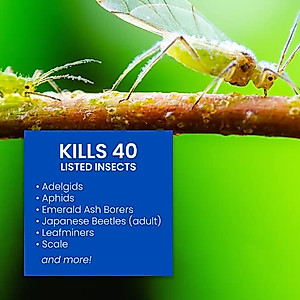 BioAdvanced 12 Month Tree and Shrub Protect and Feed, Granules, 10 lb